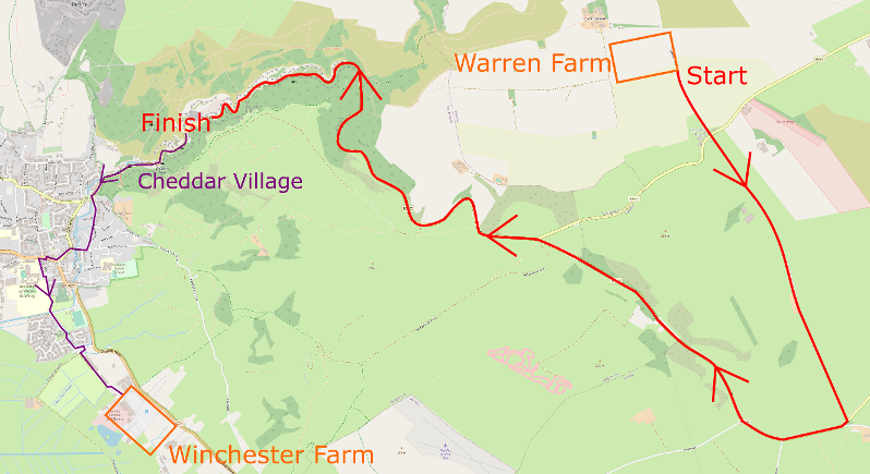 Relish Running Races